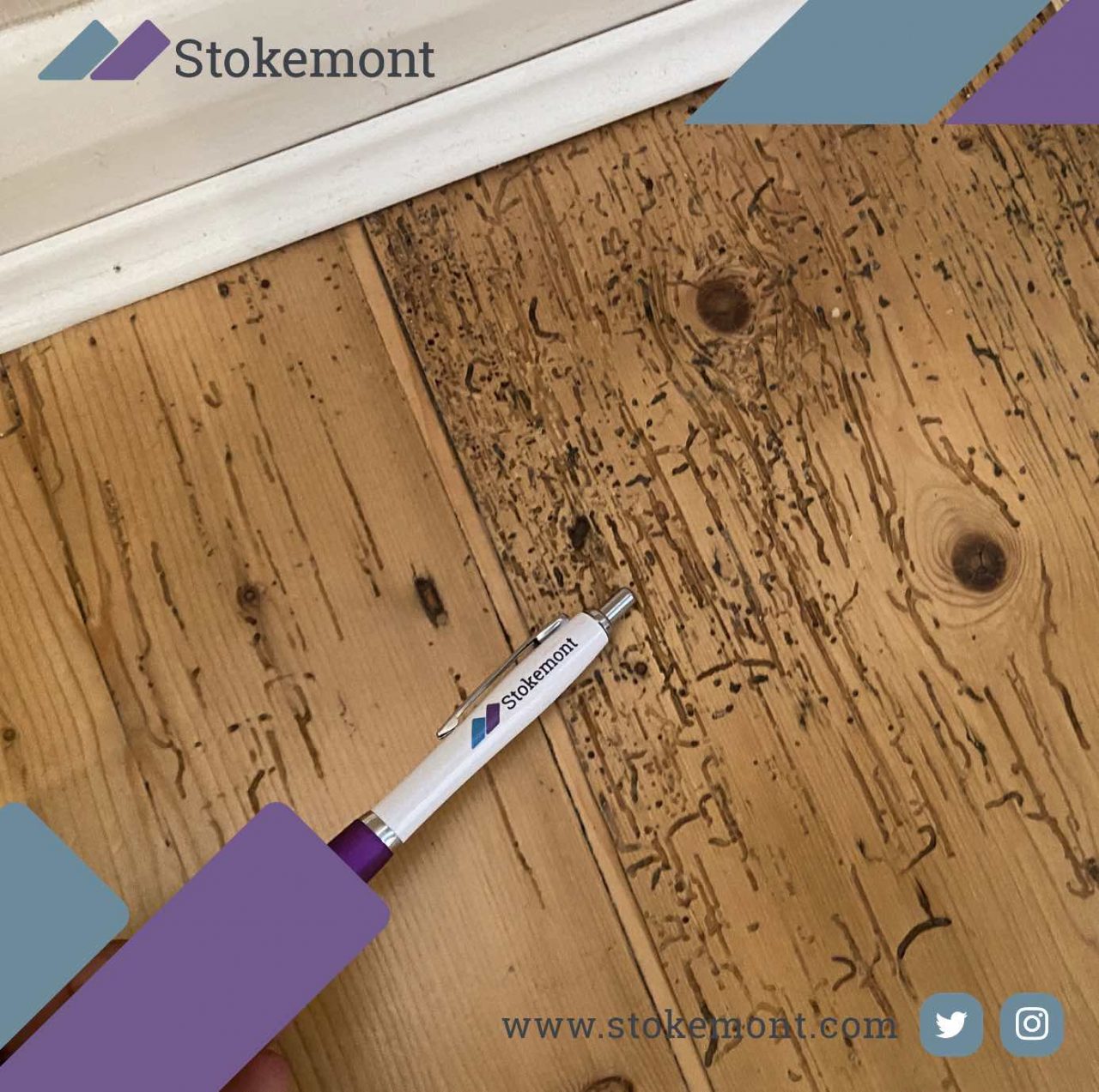 What is Wood Worm? - Stokemont