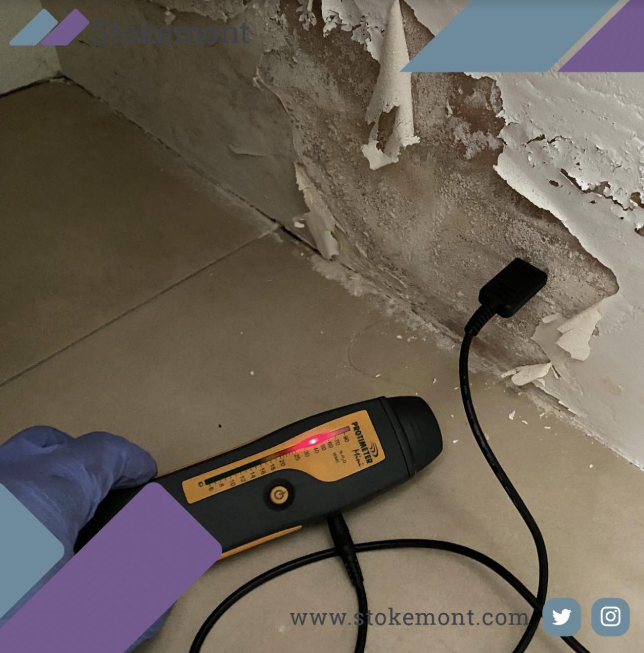 What is a Structural Survey? - Stokemont